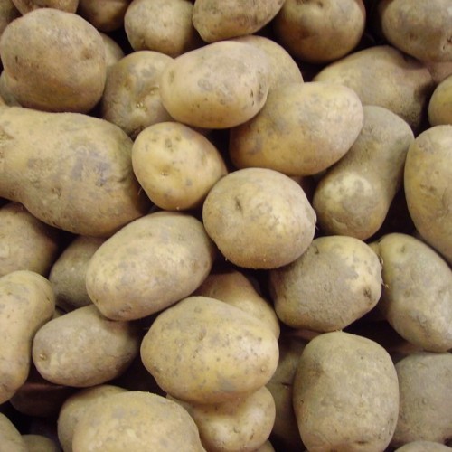 André Claude – Votre primeur à Lucé / Livraison de fruits et légumes ...